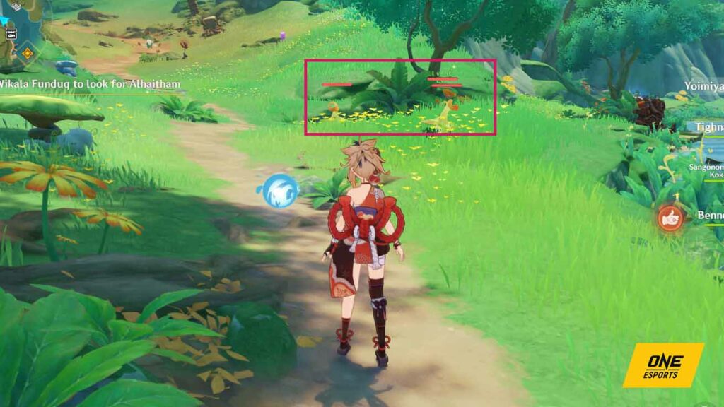 Panduan farm material Nahida Genshin Impact | ONE Esports Indonesia Panduan farm material Nahida Genshin Impact | ONE Esports Indonesia